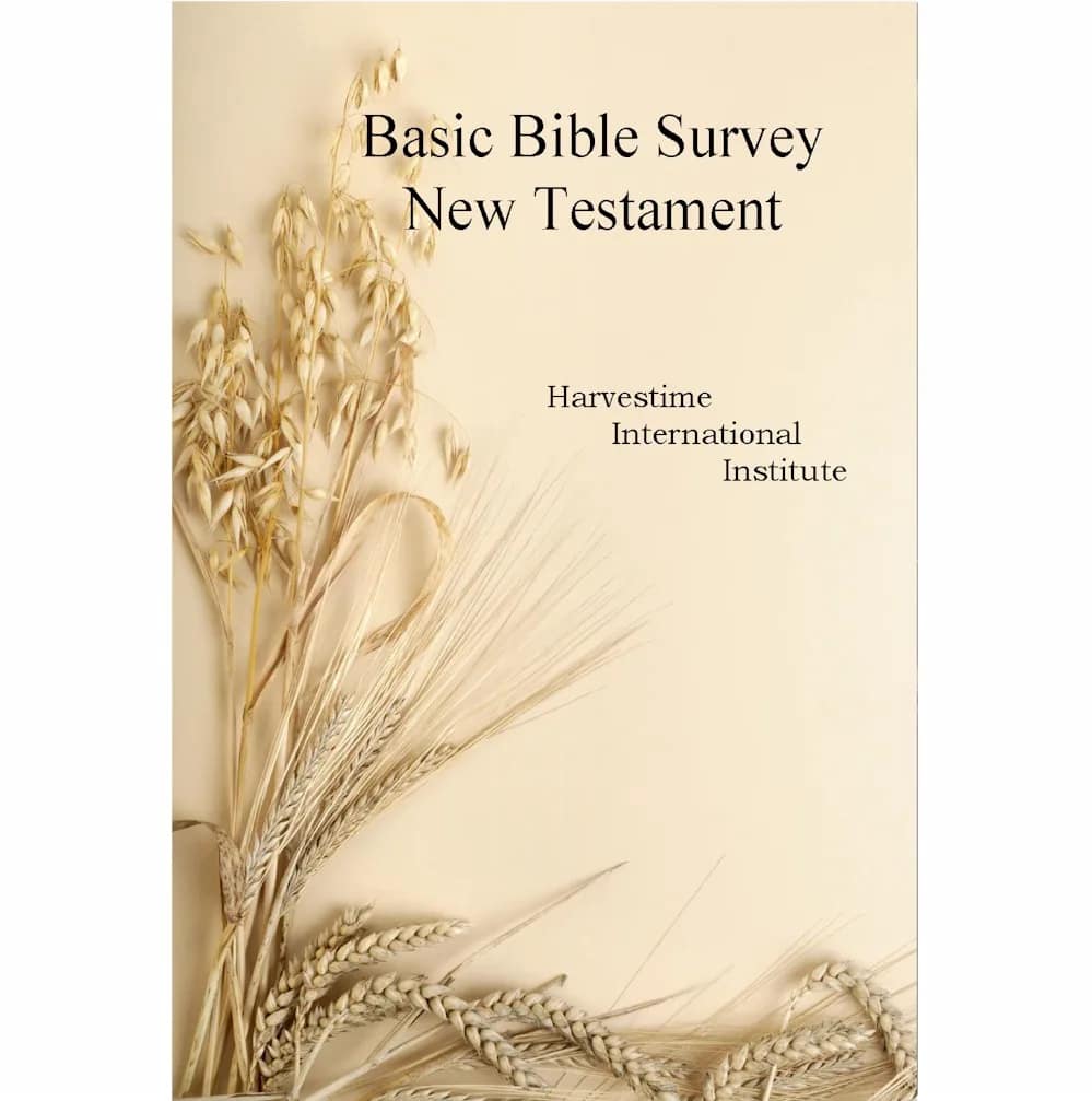 Basic Bible Survey N.T. | Internet Bible College and Vision Colleges